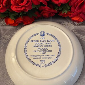 Spode Blue Room Regency Collection Pagoda Pasta Bowl - Etsy