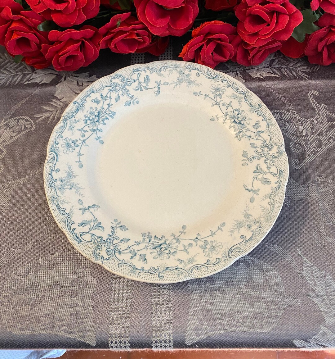 Clemenstone White Star Plate - Etsy
