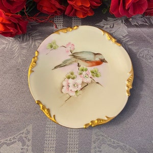 J. P. L. France Limoges Plate With Hand Painted Small White J. P. L. France Limoges Plate With Hand Painted Small White