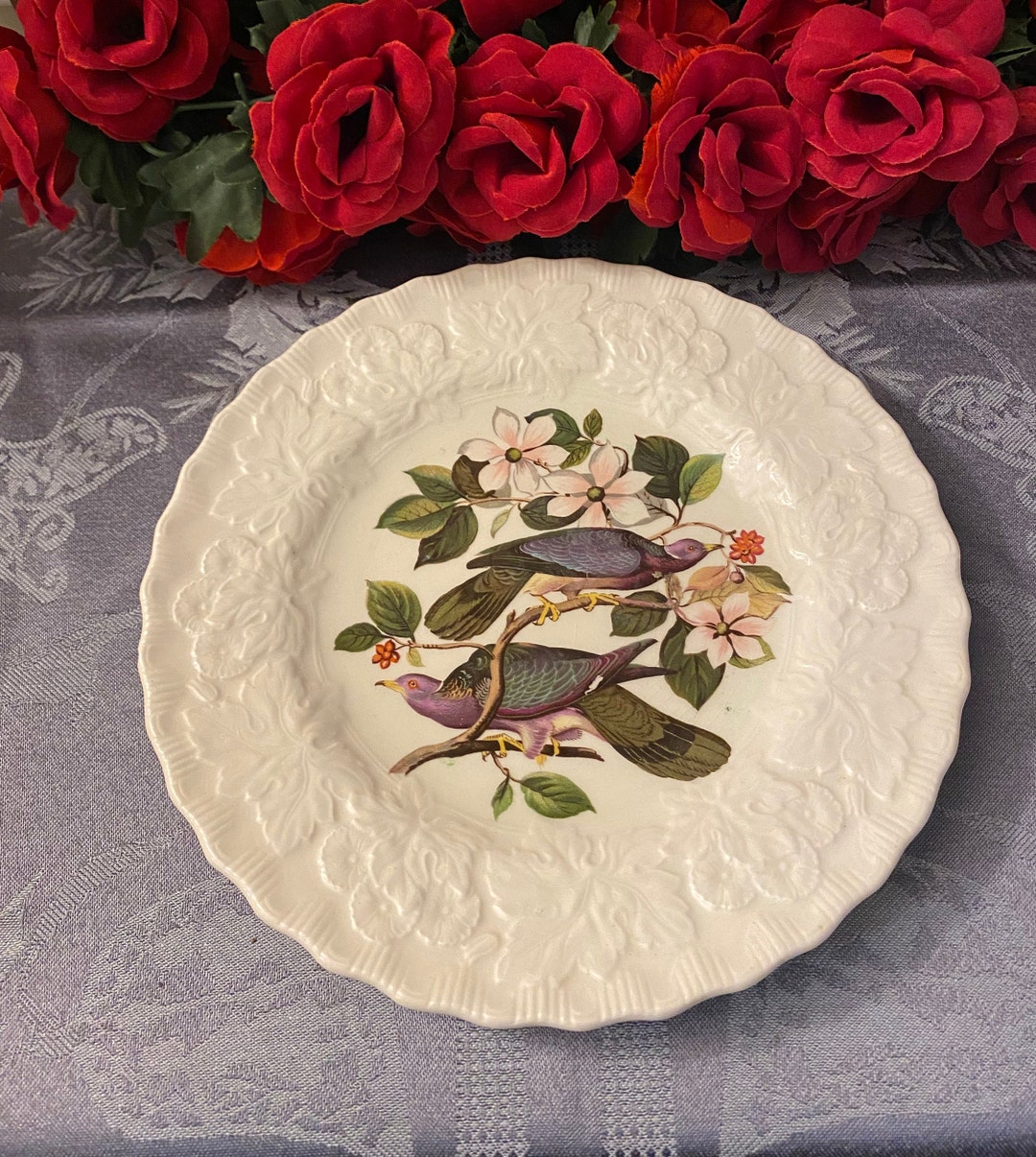 Meakin Audubon Birds Band Tailed Pigeon Plate - Etsy