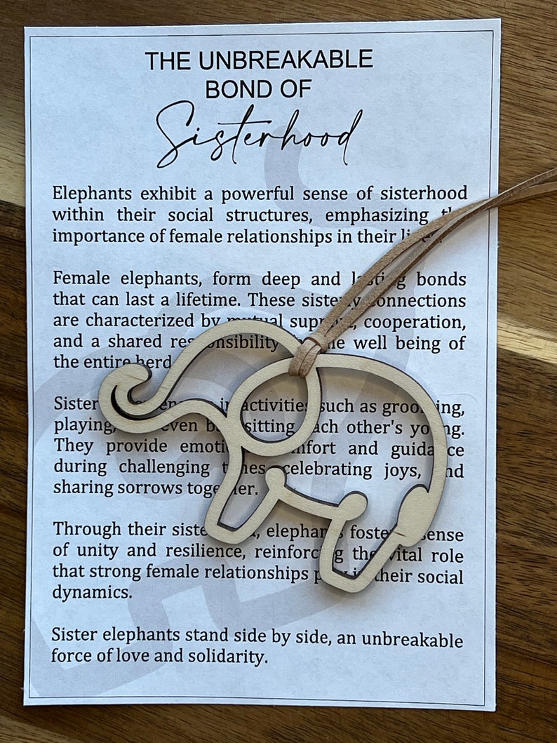 Sisterhood, Unbreakable Bond, Friendship, Elephant Sisterhood Gift ...