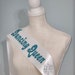 Dancing Queen Bachelorette Sash: 70s Disco Bridal Party - Etsy