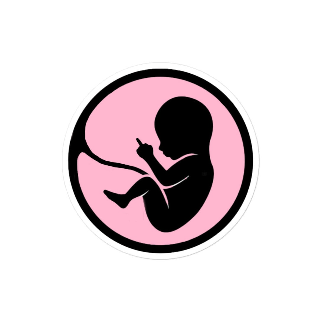 Pro Life Fetus Sticker Pink Unborn Preborn Baby Sticker Pro Life ...