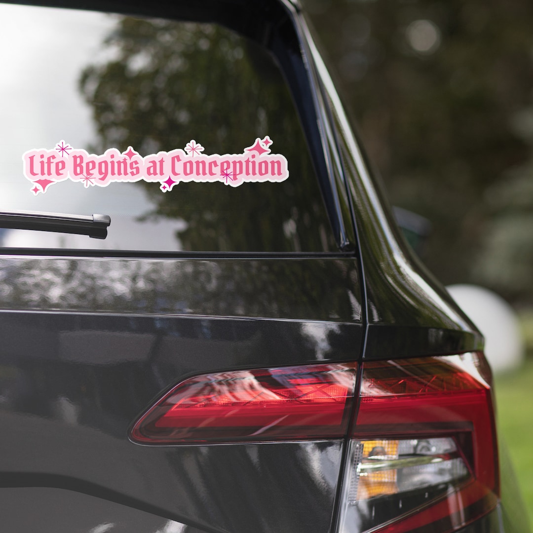 Life Begins at Conception Pro Life Feminist Christian Conservative ...