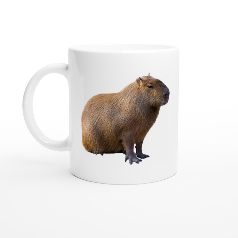 Capybara Mug - Etsy