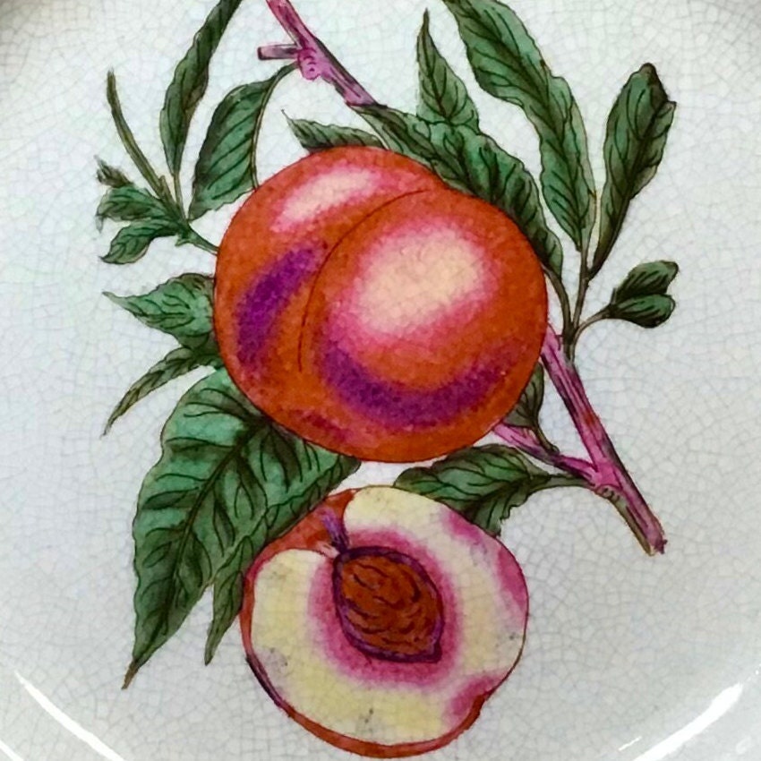 Vintage Mark Roberts Collection Hand Painted Peach Plate - Etsy