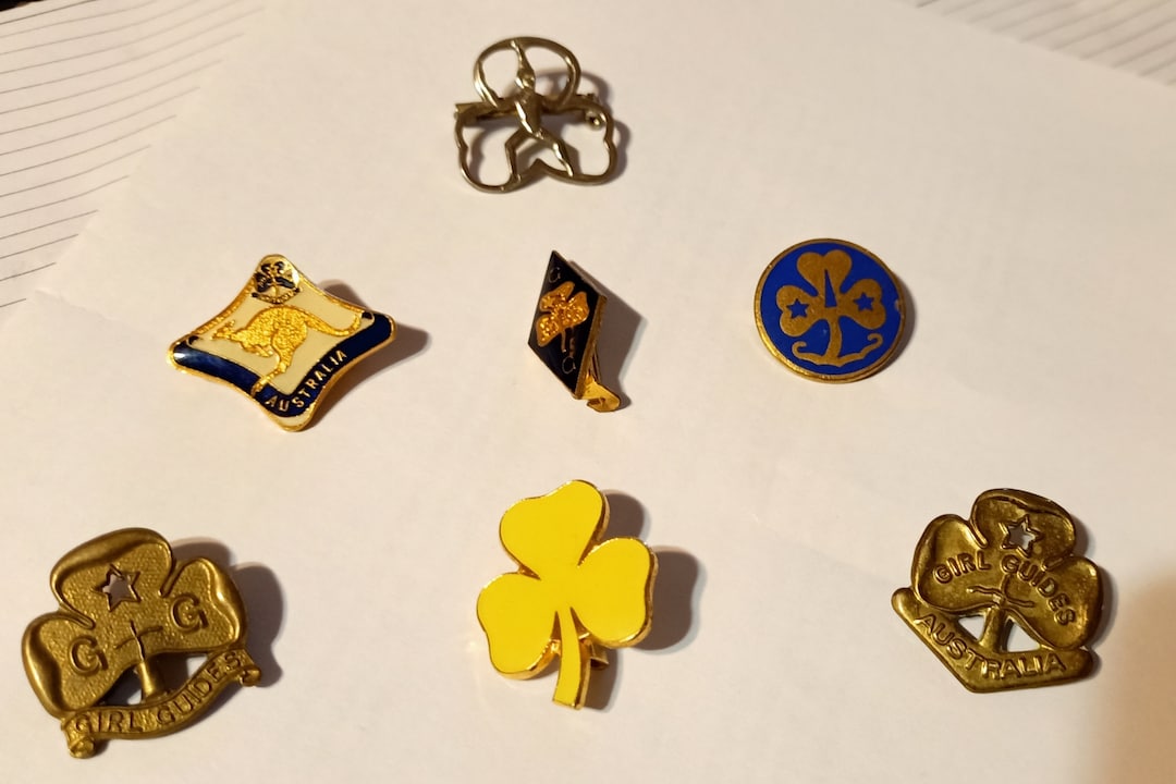A Set of 7 Brownie/girl Guide Badges - Including 2 Rarer Pins - Etsy