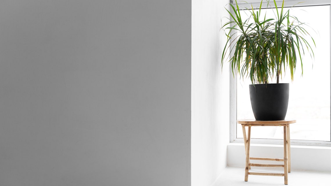 Gray Modern Zoom Virtual Background Backdrop Office Background ...