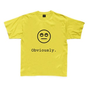 Obviously PNG, Sarcastic Smiley Face Png, Straight Face Smiley Face ...