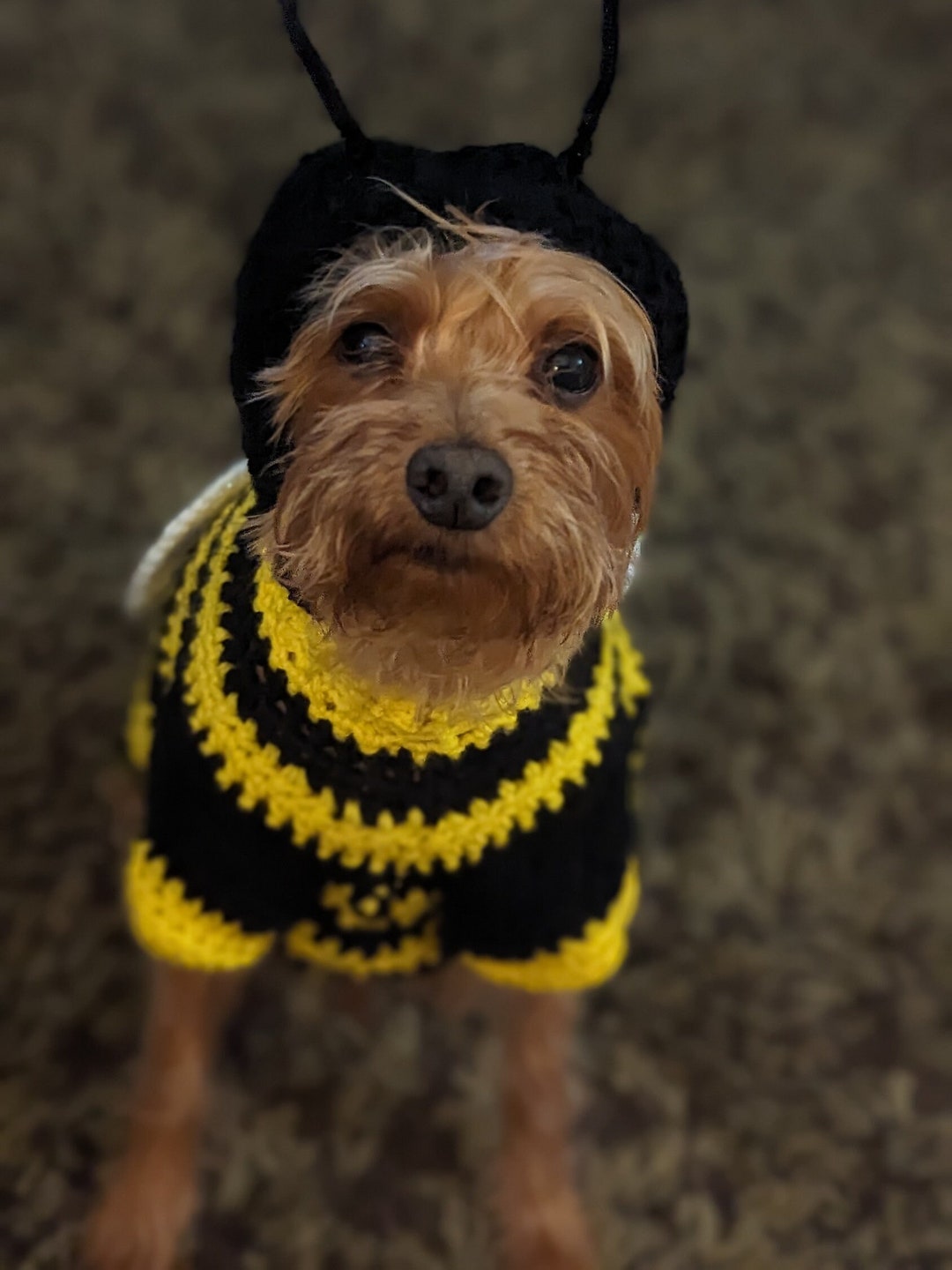 Bumblebee Dog Sweaters! - Etsy
