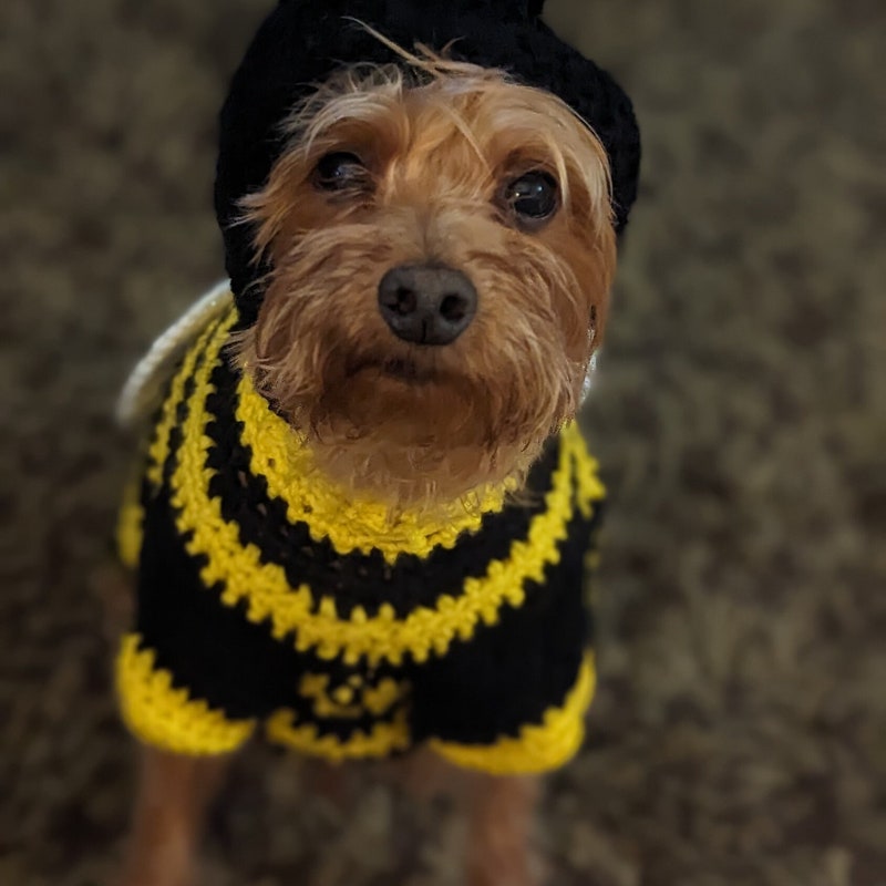 Dog Halloween Bee Costume - Etsy