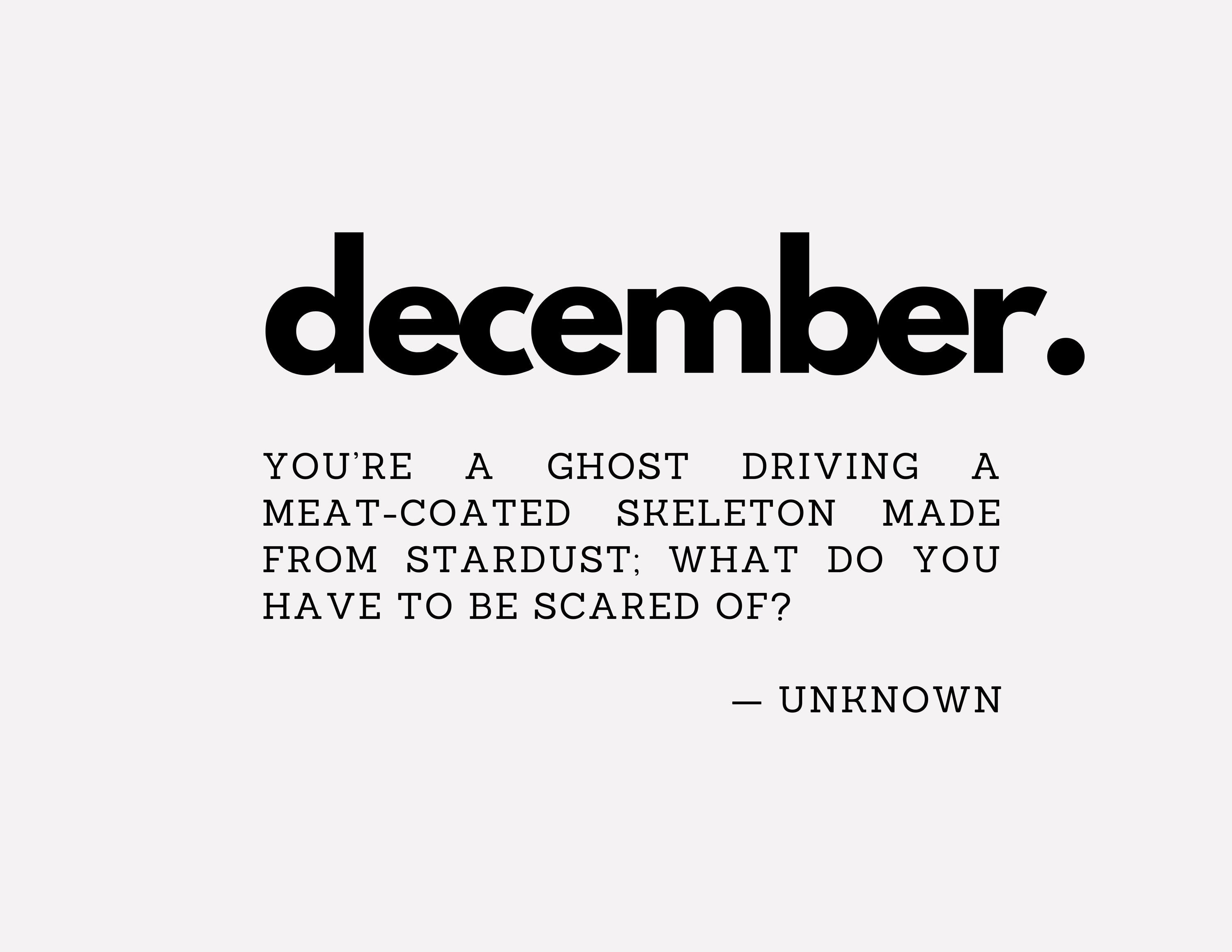 2025 Nihilistic Humor Calendar - Darkly Funny Wall Calendar With ...