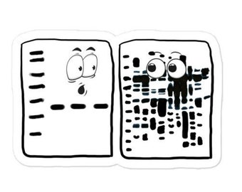 PBS Sticker / Cell Culture Sticker / Science Sticker Biology - Etsy