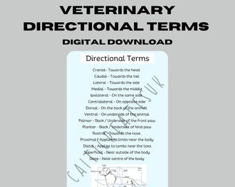 Veterinary Directional Terms Poster - Etsy
