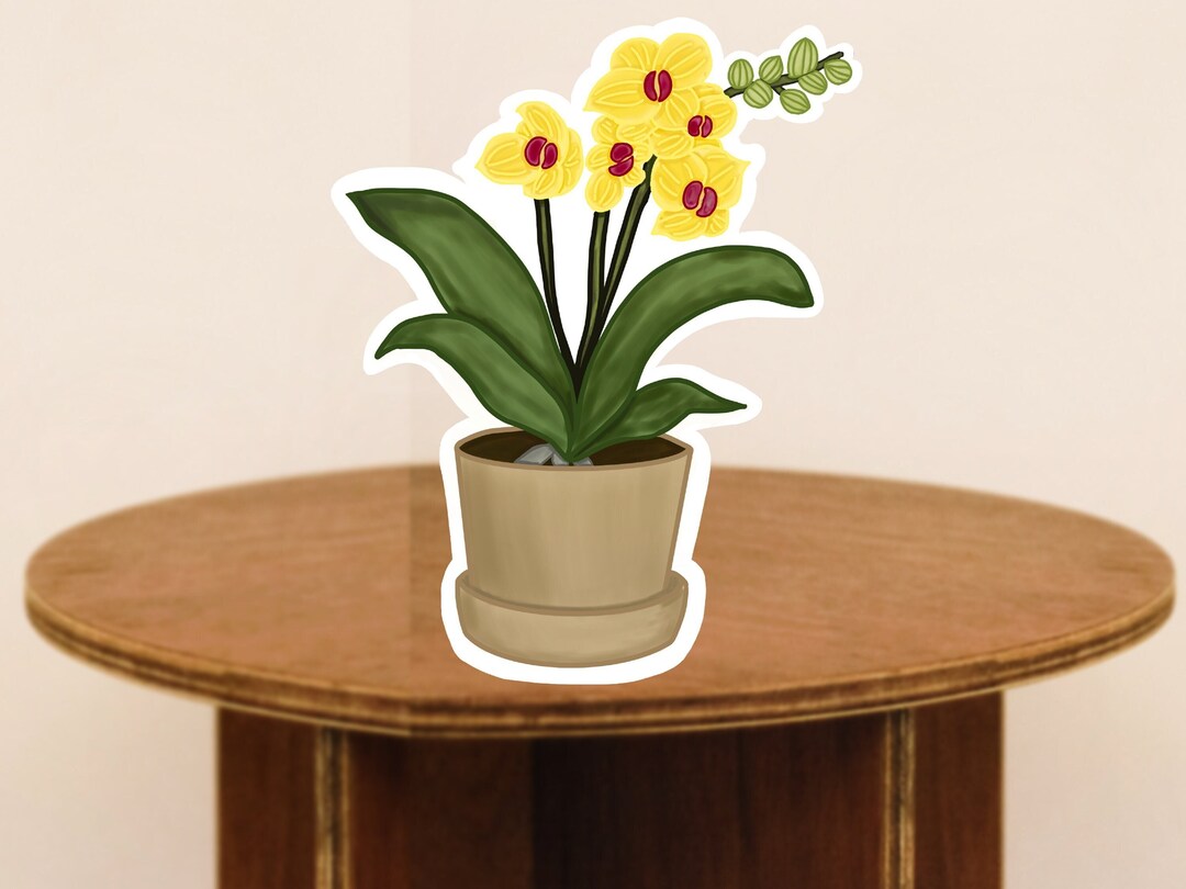 Orchid Sticker | Decals Sticker | Stickers Laptop | Stickers Labels ...