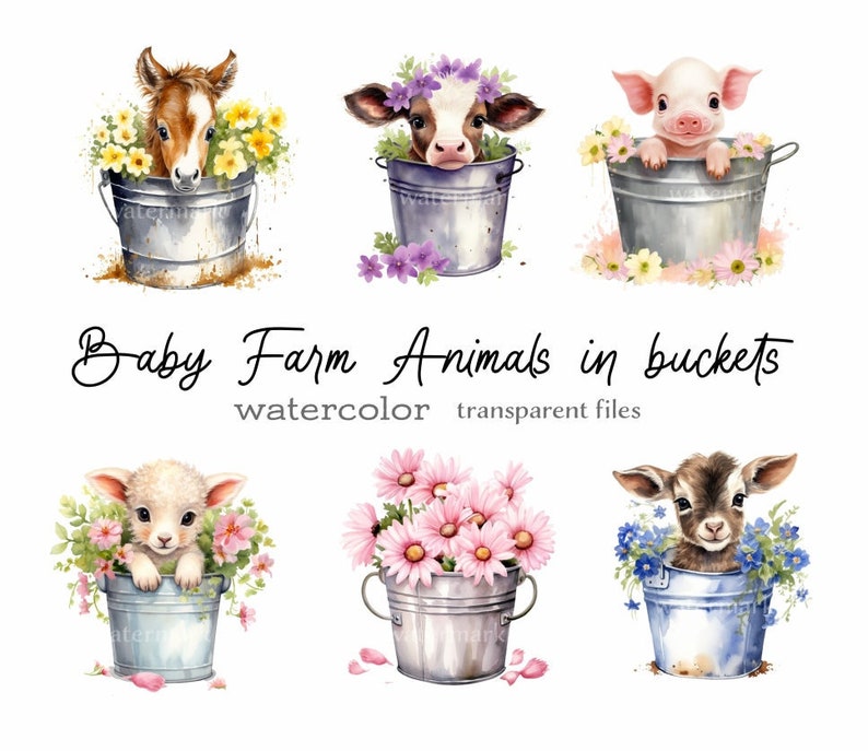 Farm Animal Clipart Set Baby Cows in Pale Buckets Country Farmhouse ...