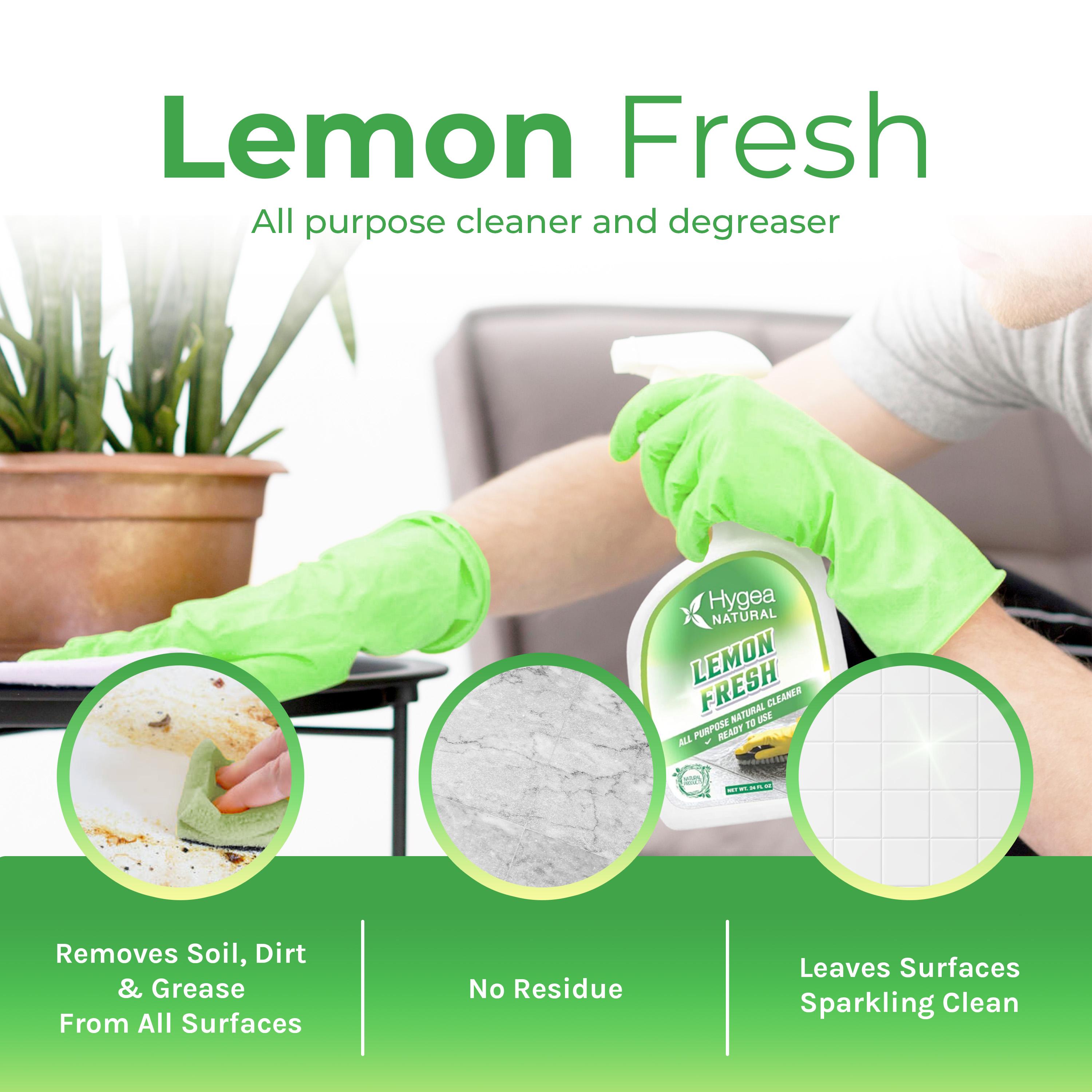 Hygea Natural Cleaning Starter Kit: Non-toxic Home Cleaning Set - Etsy
