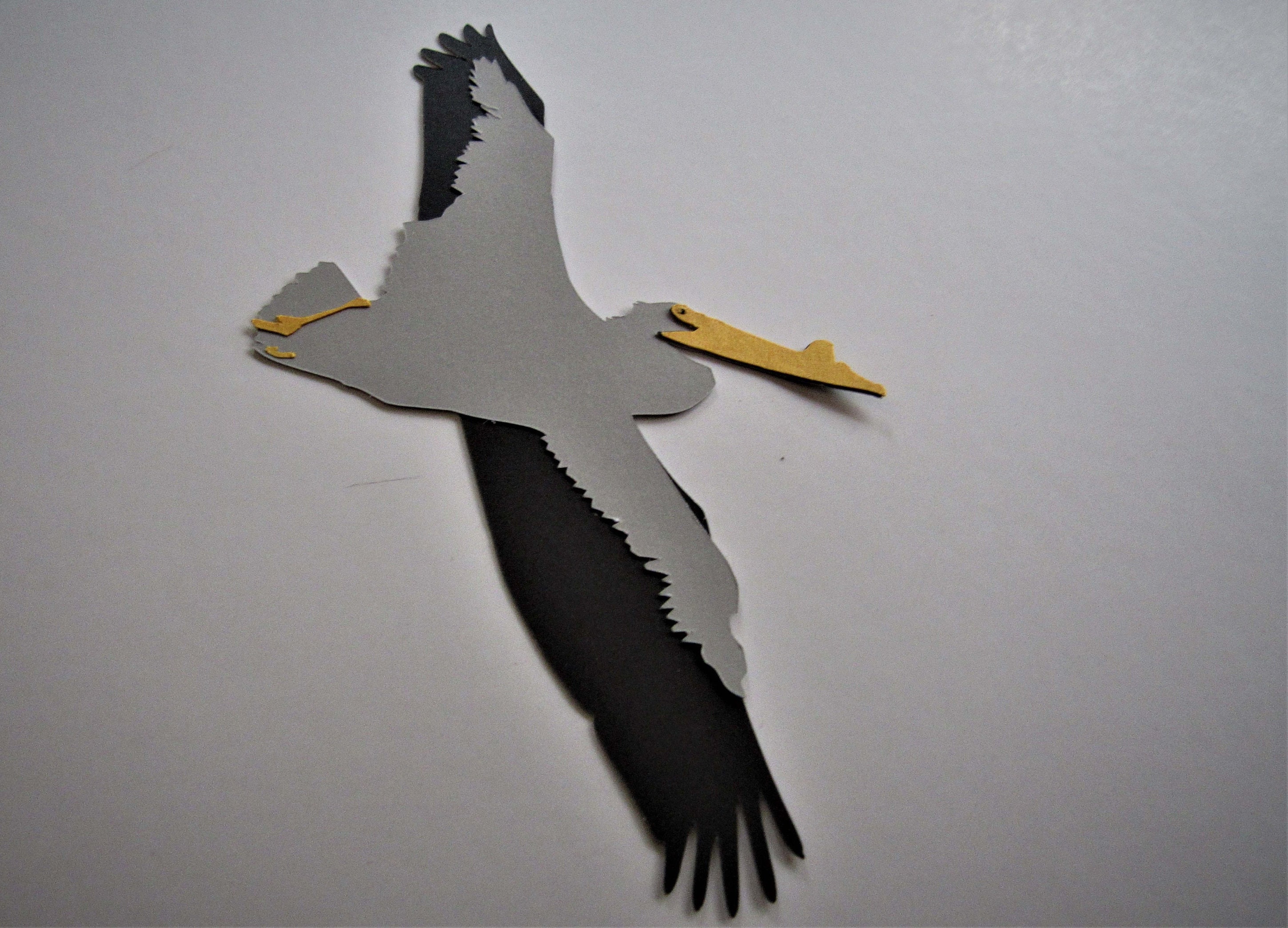 Pelican Cutout SVG - Etsy