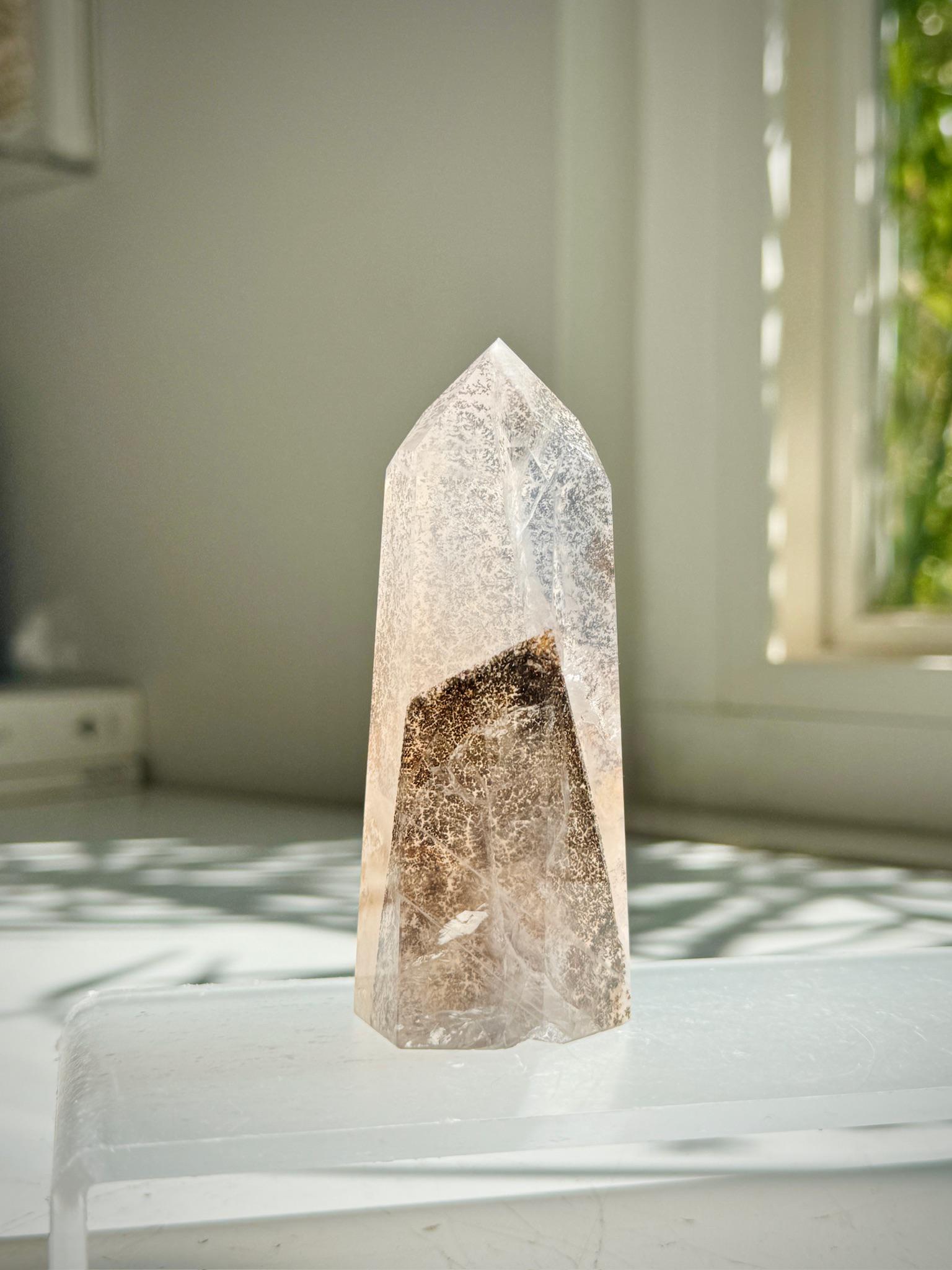 Highly Intricate Dendritic Crystal Tower Quartz Dendritic Tree Pattern ...