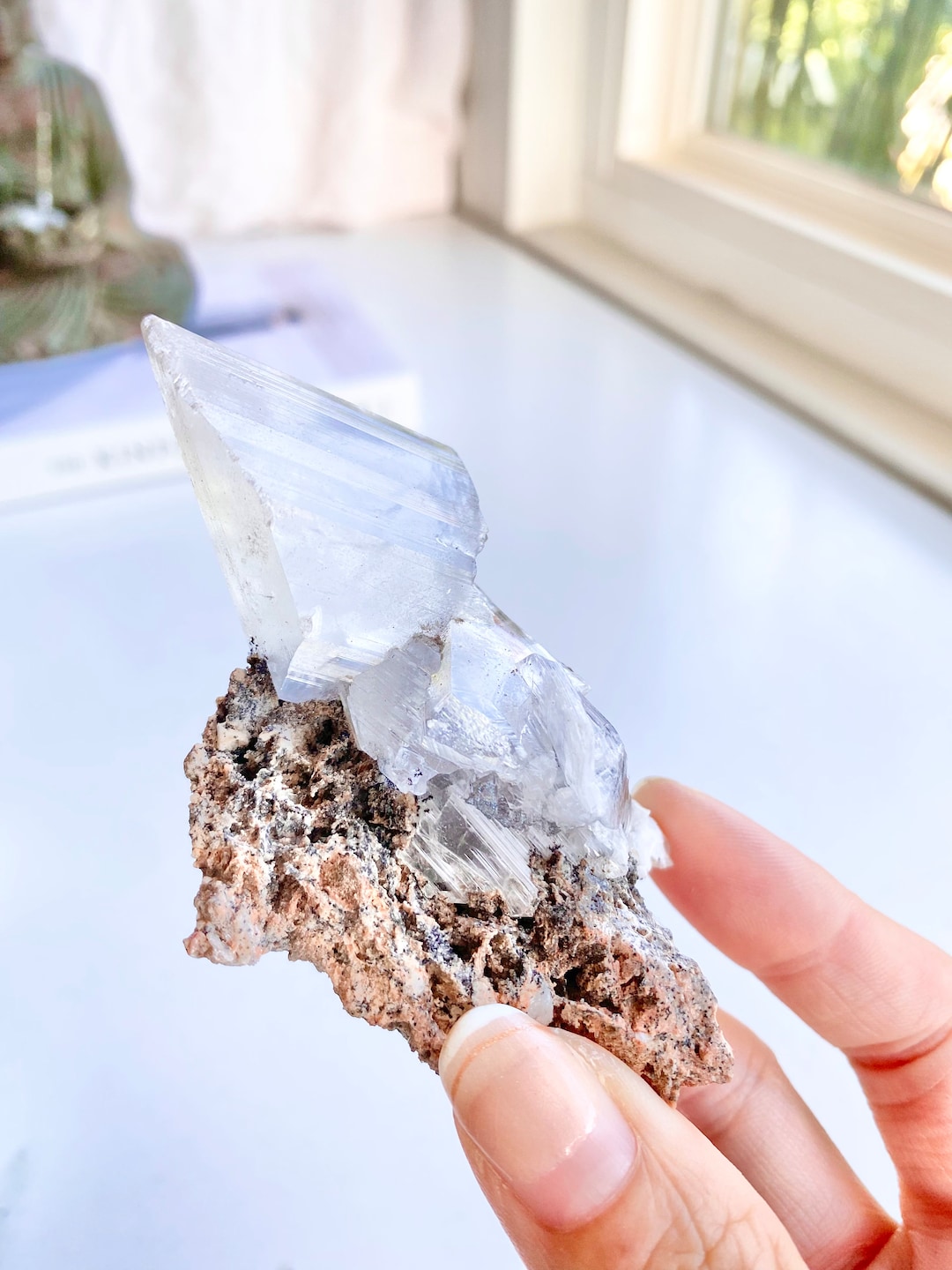Rare Bladed AAA Naica Selenite Cluster Specimen Crystal 94g 3.3oz 8cm 3 ...