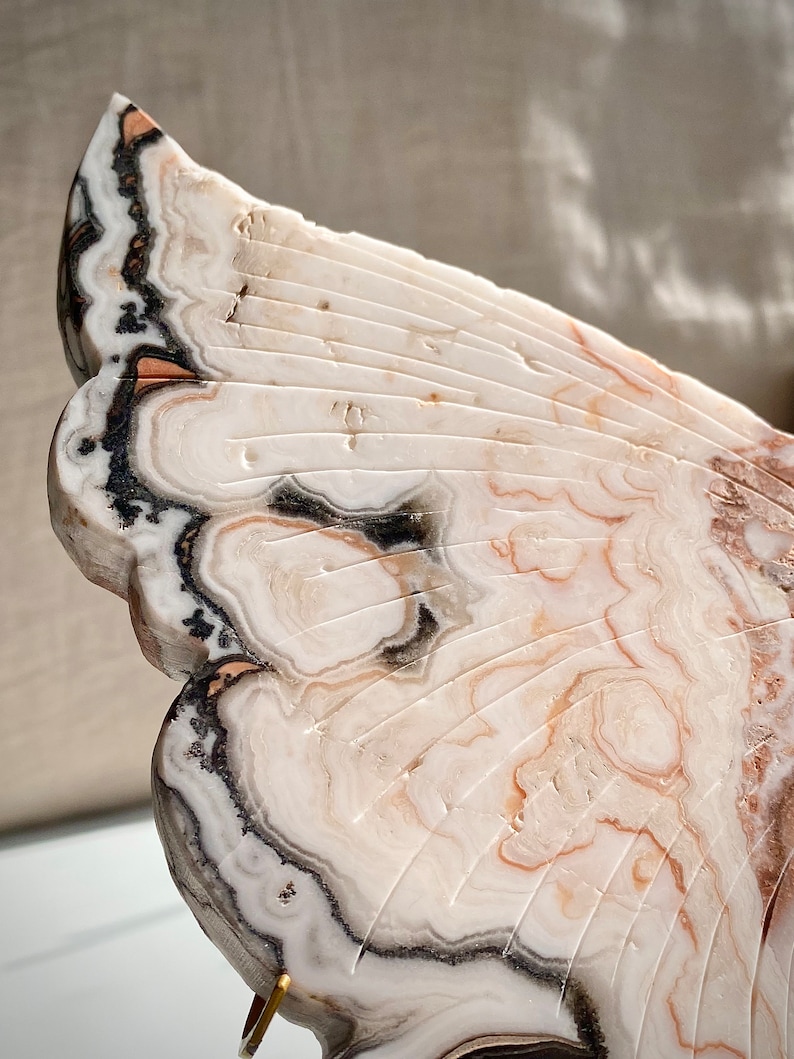 Huge Rare Stunning Pink Banded Large Carved Wings Pink Black White ...
