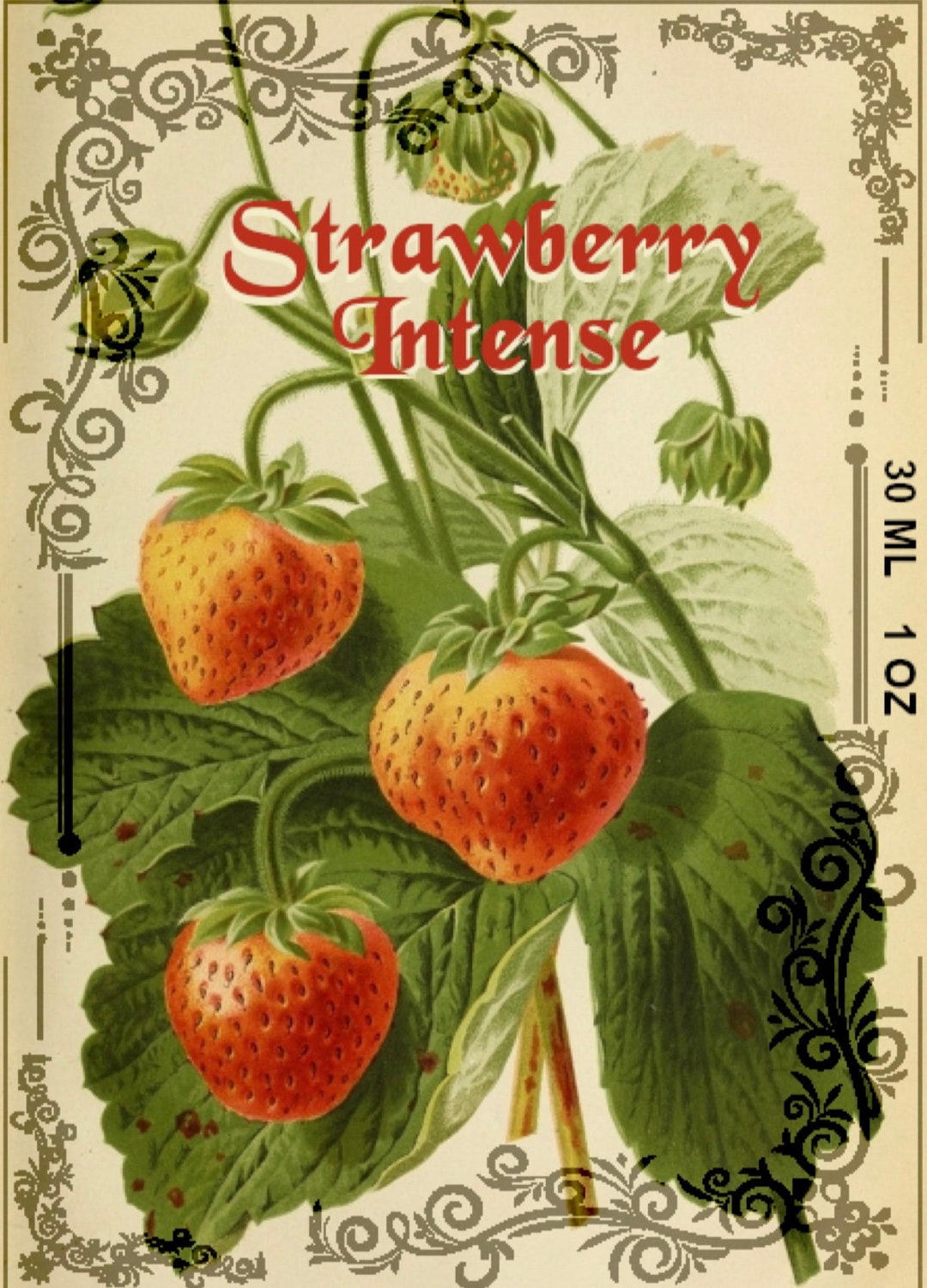 Strawberry Intense Spray 5 Ml Sample Eau De Toilette Water Toilet Fruit ...