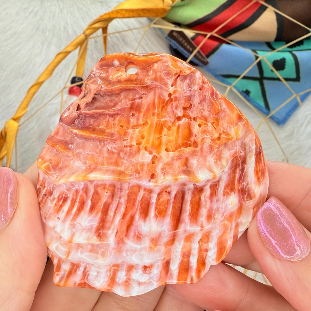 Natural SPINY OYSTER Shell With Hole Drilled to Make a Pendant ...