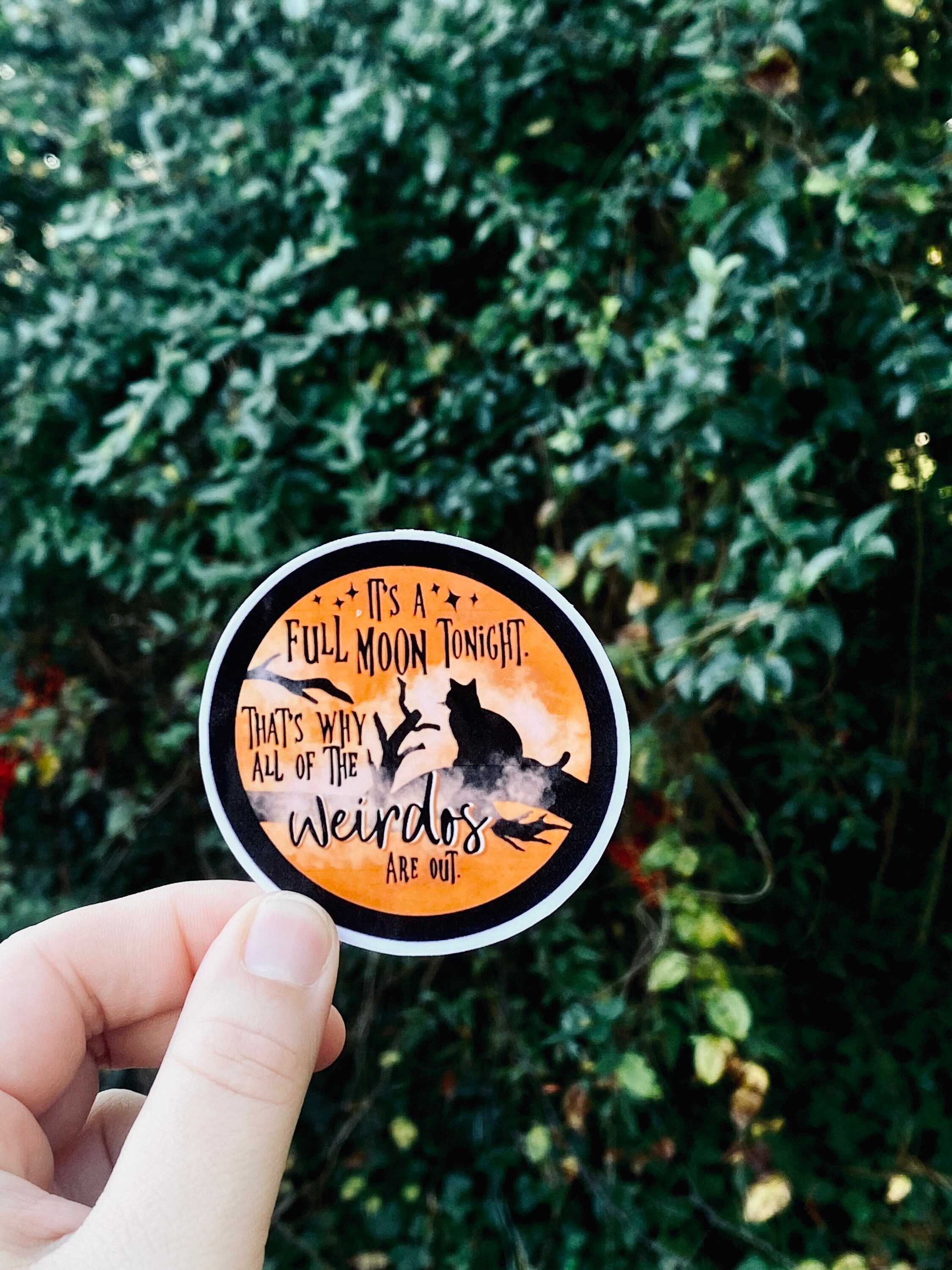Hocus Pocus Stickers Halloween Stickers Hocus Pocus - Etsy
