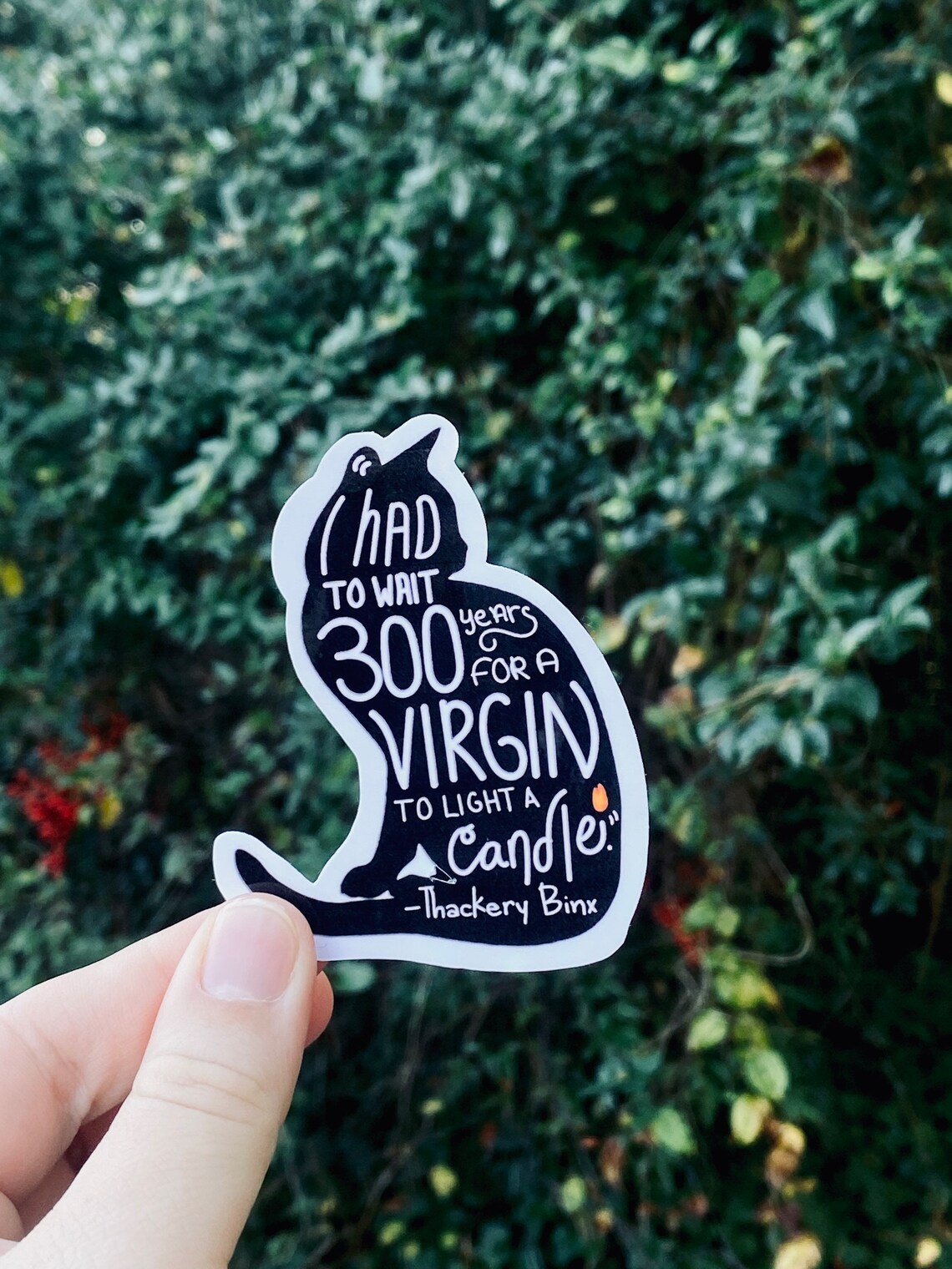 Hocus Pocus Stickers Halloween Stickers Hocus Pocus - Etsy