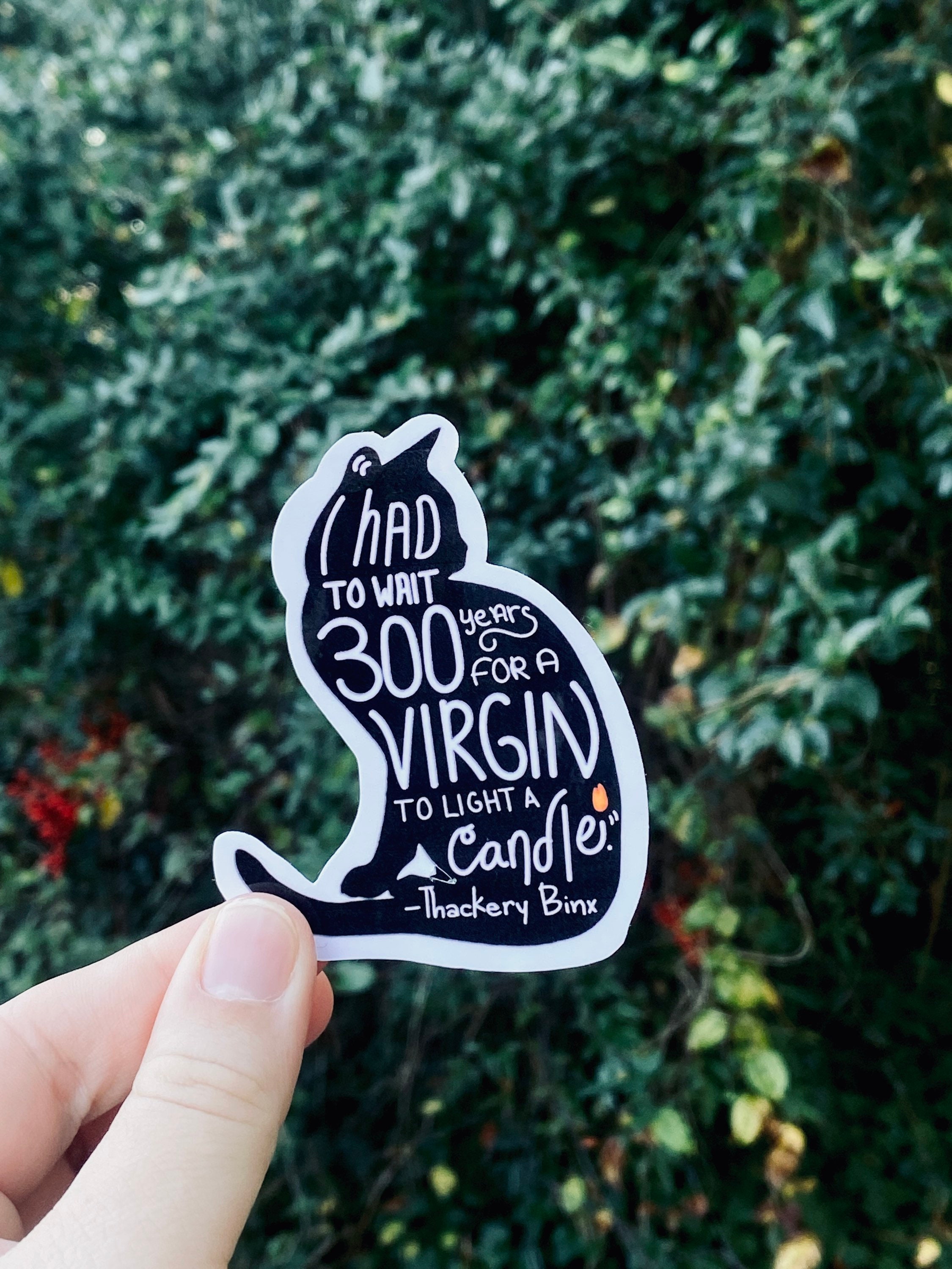 Hocus Pocus Stickers Halloween Stickers Hocus Pocus - Etsy