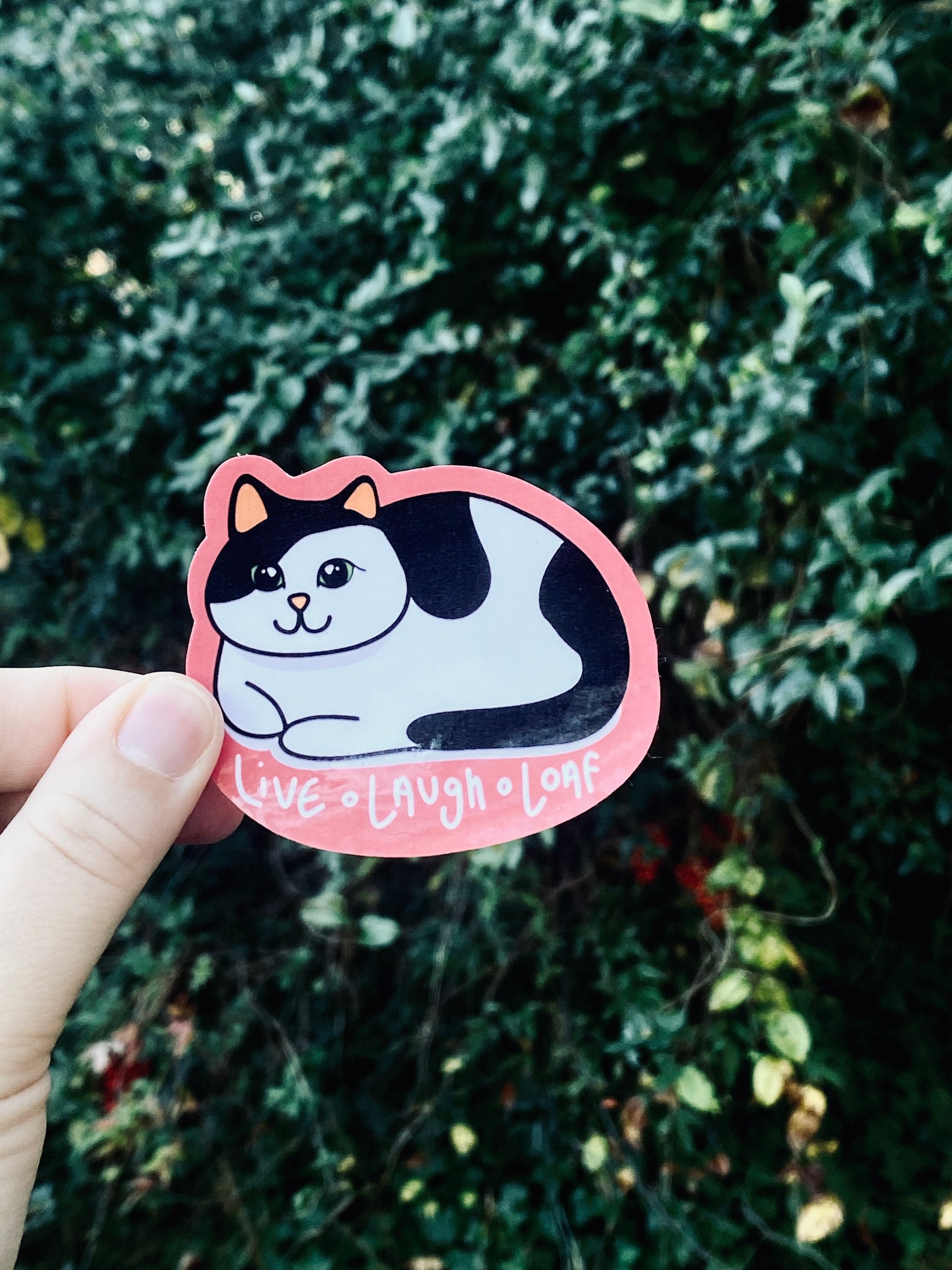 Cat Lovers Sticker Set Die Cut Stickers Laptop Stickers Journal ...