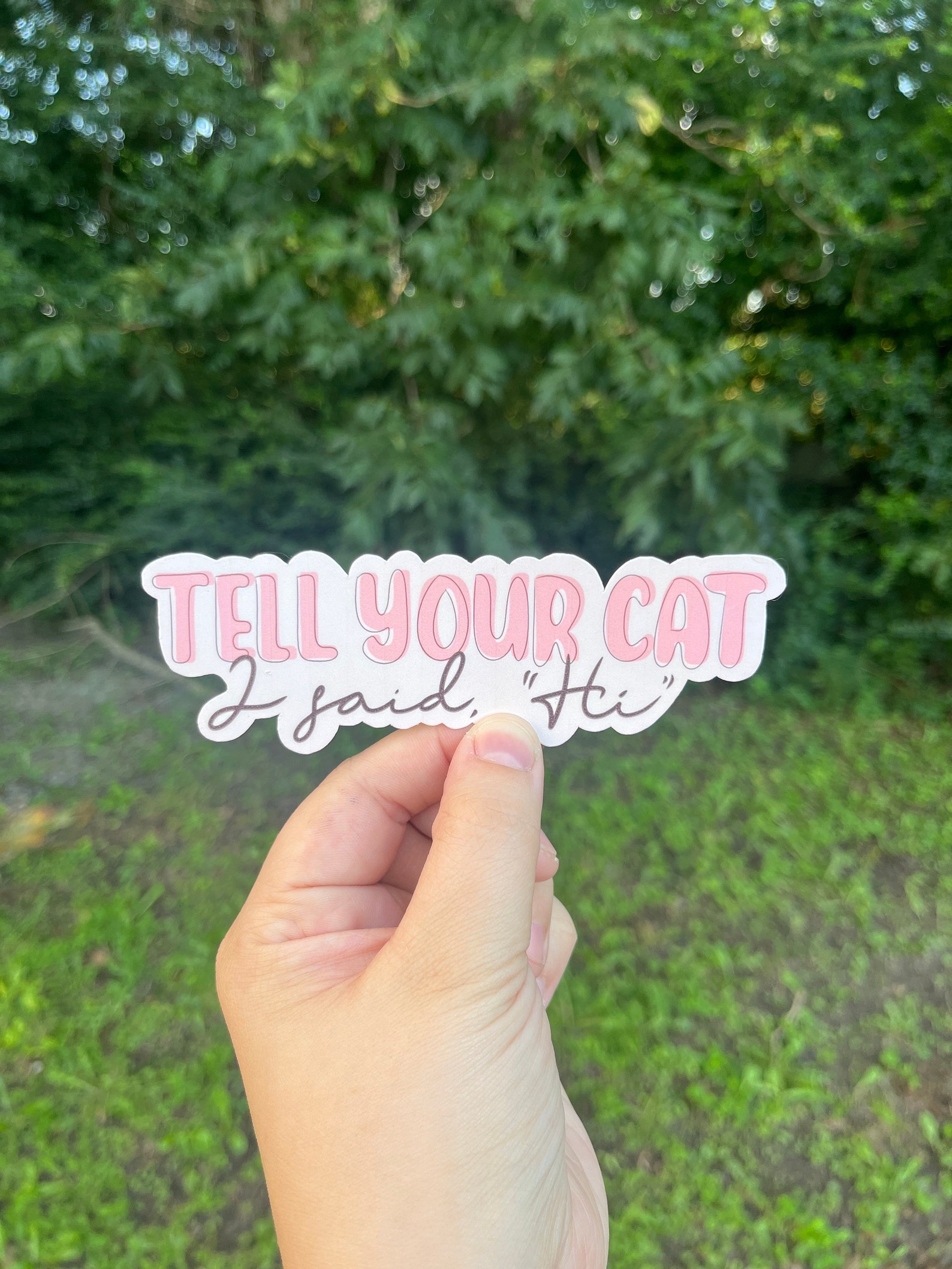 Cat Lovers Sticker Set Die Cut Stickers Laptop Stickers Journal ...