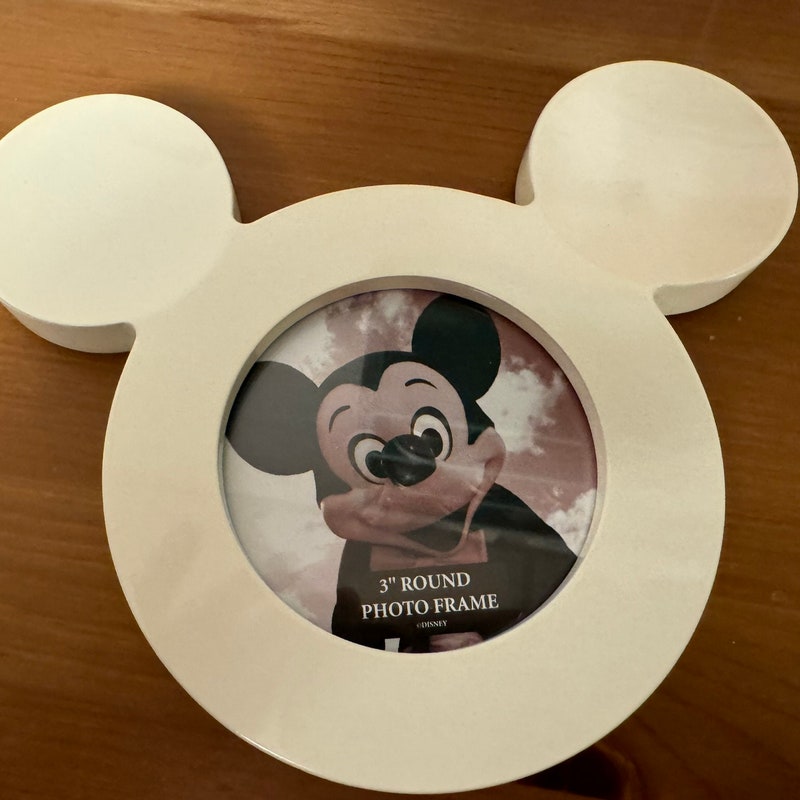 Disneyland 8x10 Picture Frames - Etsy