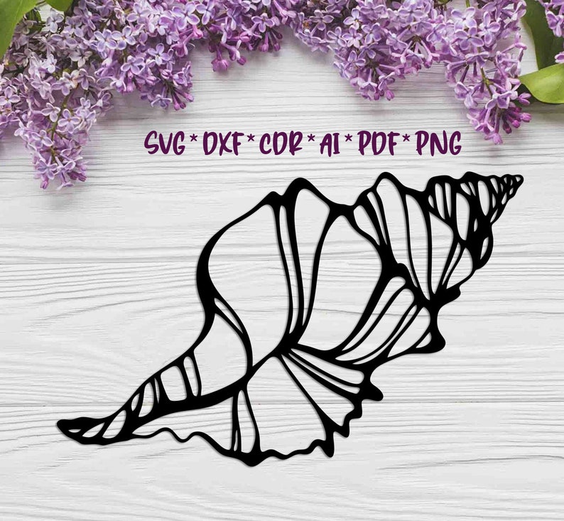 Seashell | SVG, DXF, AI Digital Vector Design for Plasma and Laser ...