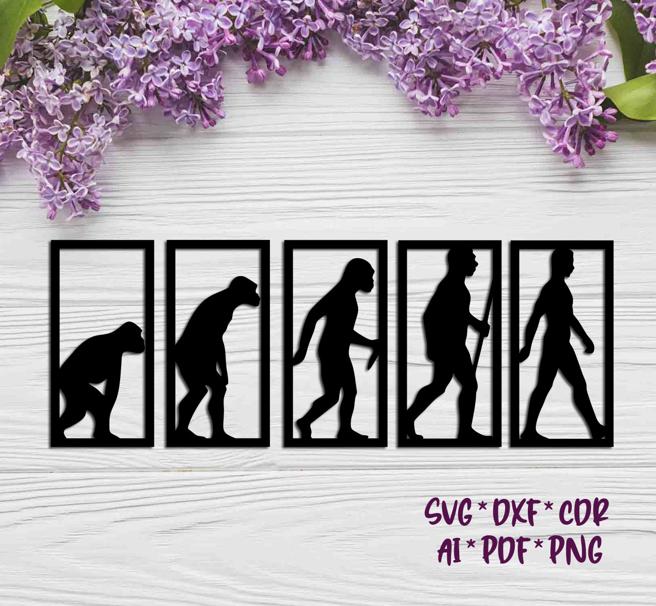 Human Evolution, SVG, DXF, AI Digital Vector Design for Plasma and ...