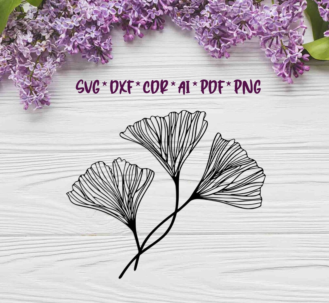 Ginkgo Biloba Leaves 2 SVG DXF AI Digital Vector Files for - Etsy