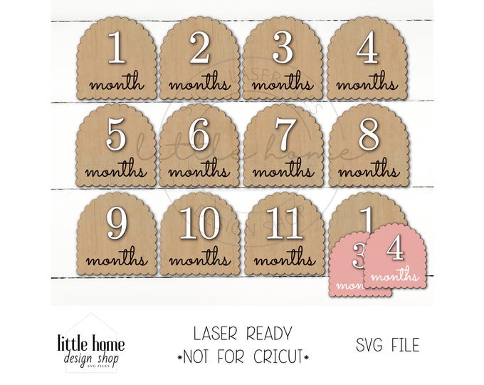 Baby Milestones Svg, Floral Monthly Milestones Svg, Milestone Discs Svg ...