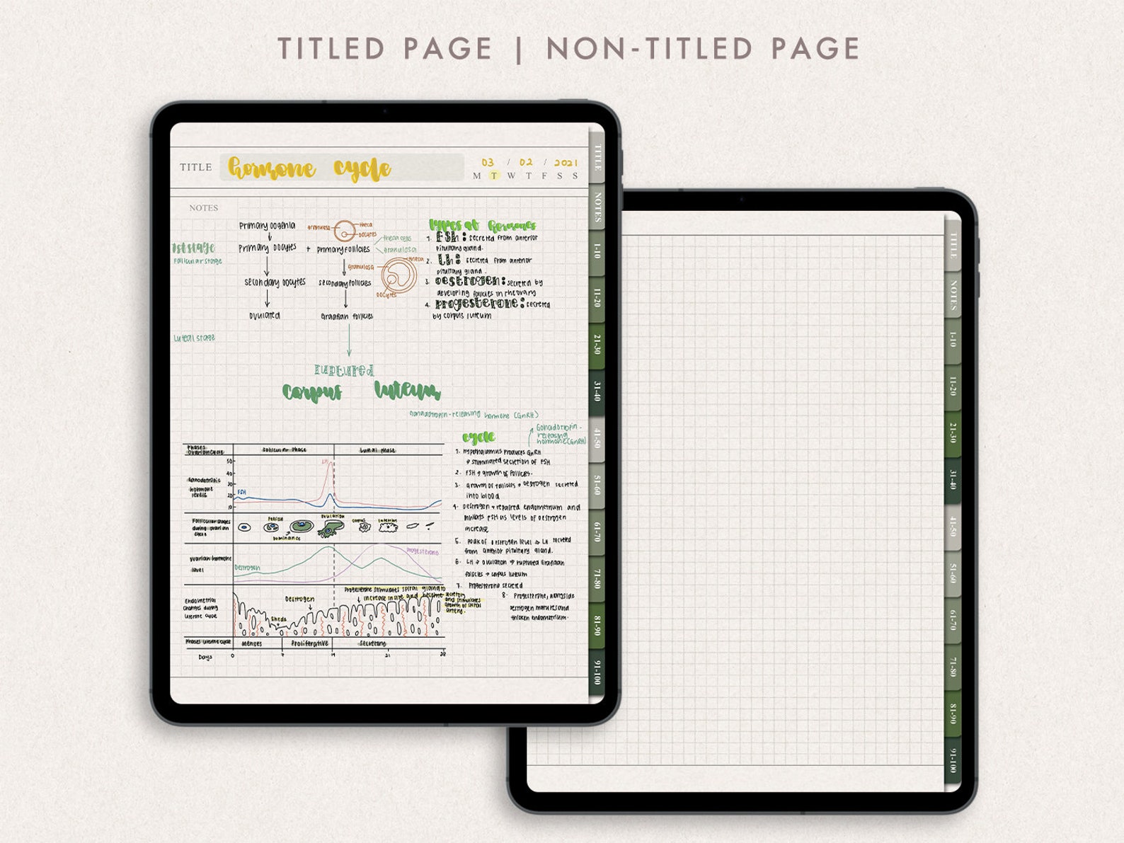 Digital Notebook | 60 Different Note-taking Templates | the Ultimate ...