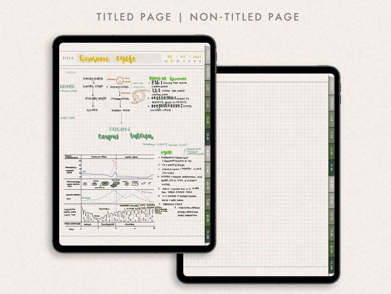Digital Notebook | 60 Different Note-taking Templates | the Ultimate ...
