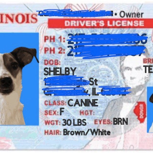 Dog Driver License - Etsy