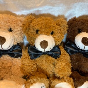 Ring Bearer Teddy Bear, Proposal Gift, Stuffed Animal Personalized ...