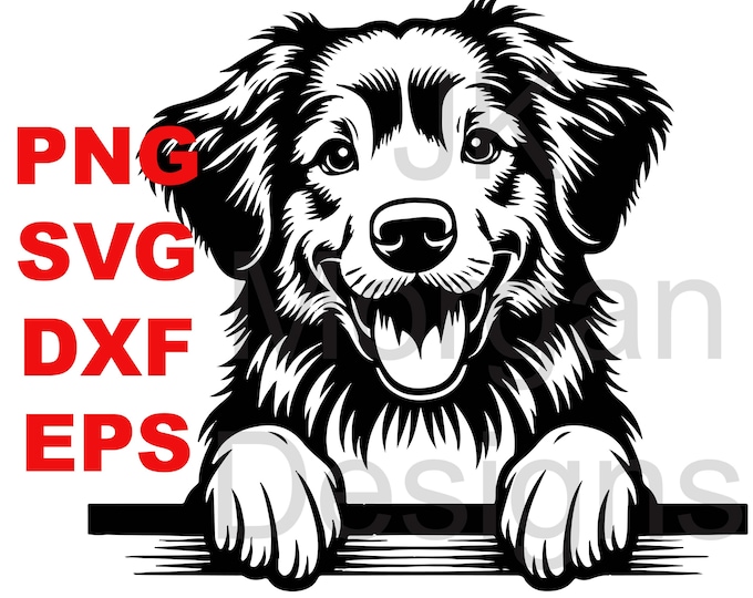 Toller Dog Svg Clipart Portrait Head Nova Scotia Duck Tolling Retriever ...