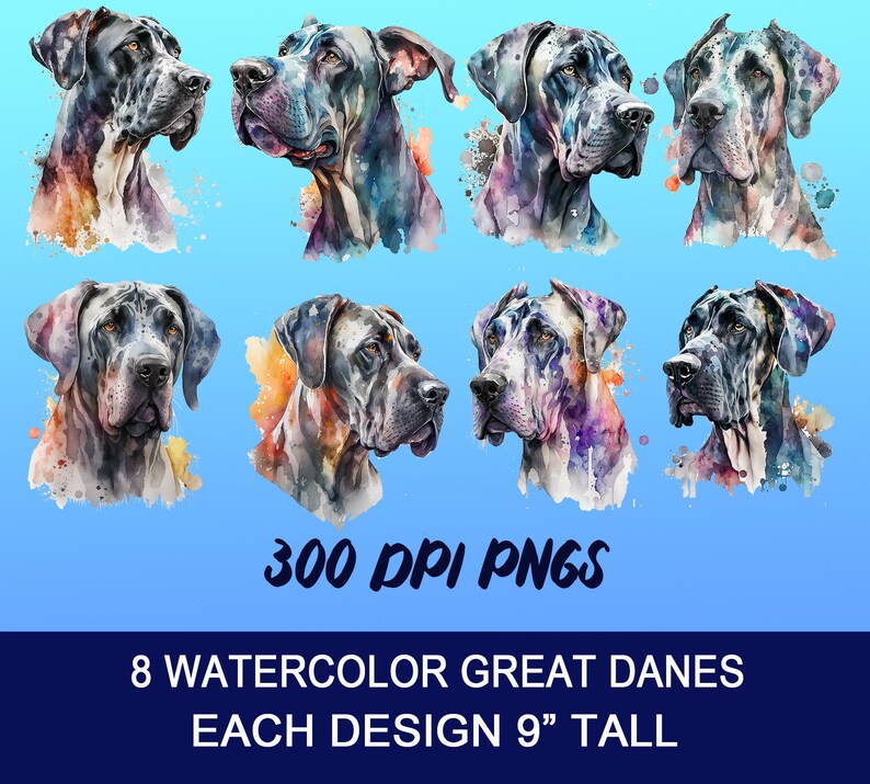 8 Great Dane Watercolor Painting PNG Digital Download - Etsy