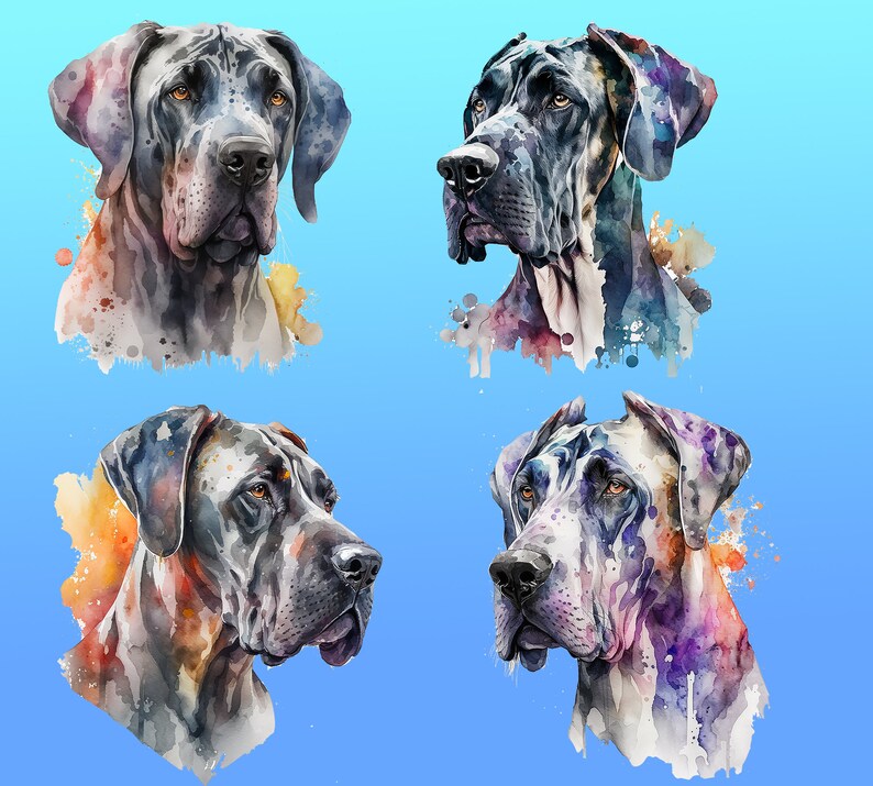 8 Great Dane Watercolor Painting PNG Digital Download - Etsy