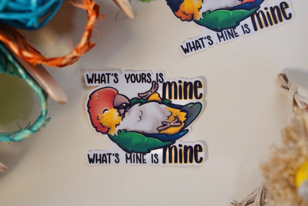What is Yours is Mine What is Mine is Mine Caique - White Bellied ...