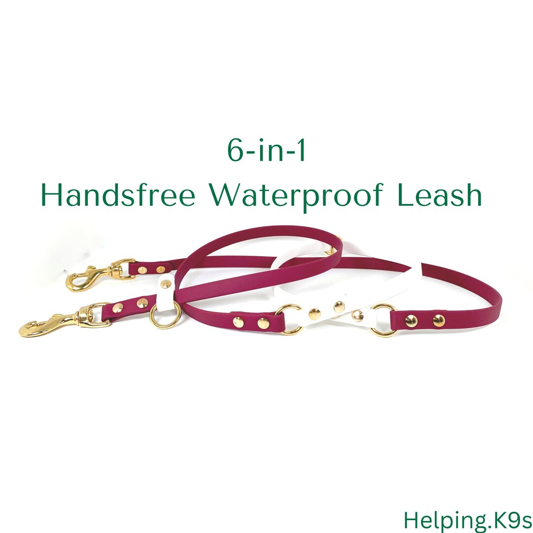 6-in-1 Handsfree Adjustable Multipurpose Waterproof All in One Leash, 5 ...