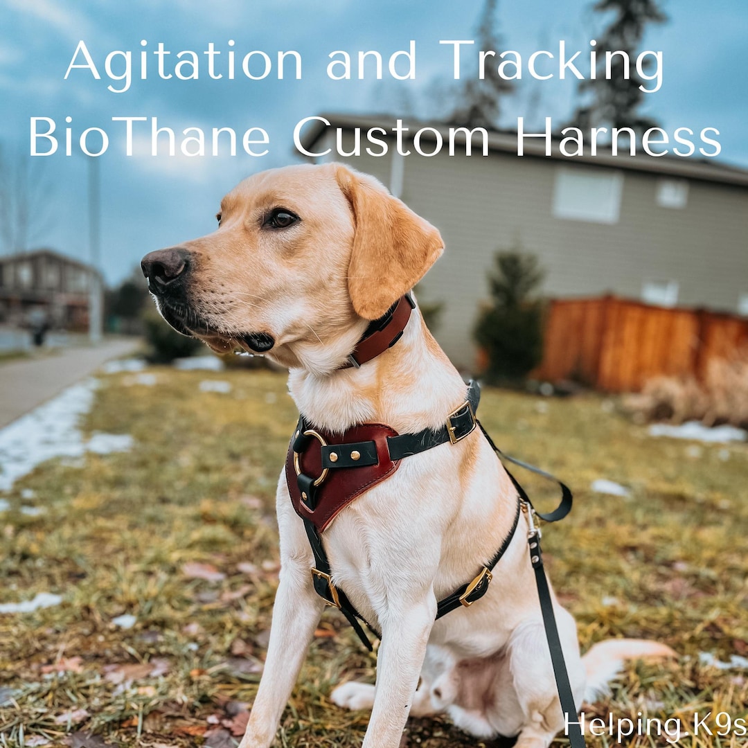 Handcrafted USA Biothane® Agitation and Tracking Harness - Etsy