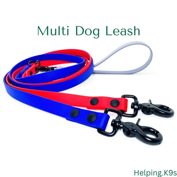 Dog on Leash - Etsy
