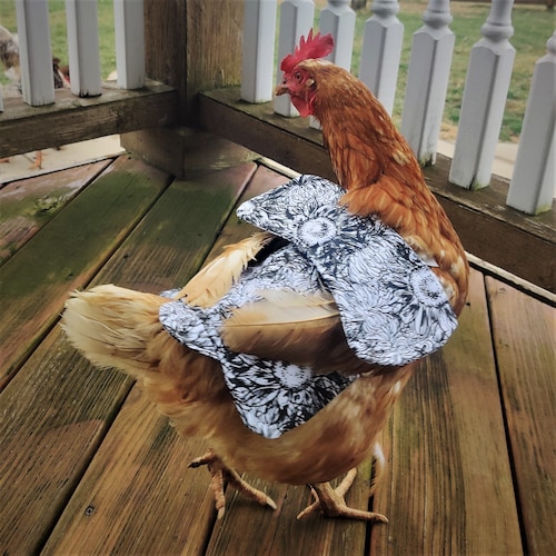 Hen Saddle Chicken Apron Tail Guard AND Now Added Wing Guard - Etsy