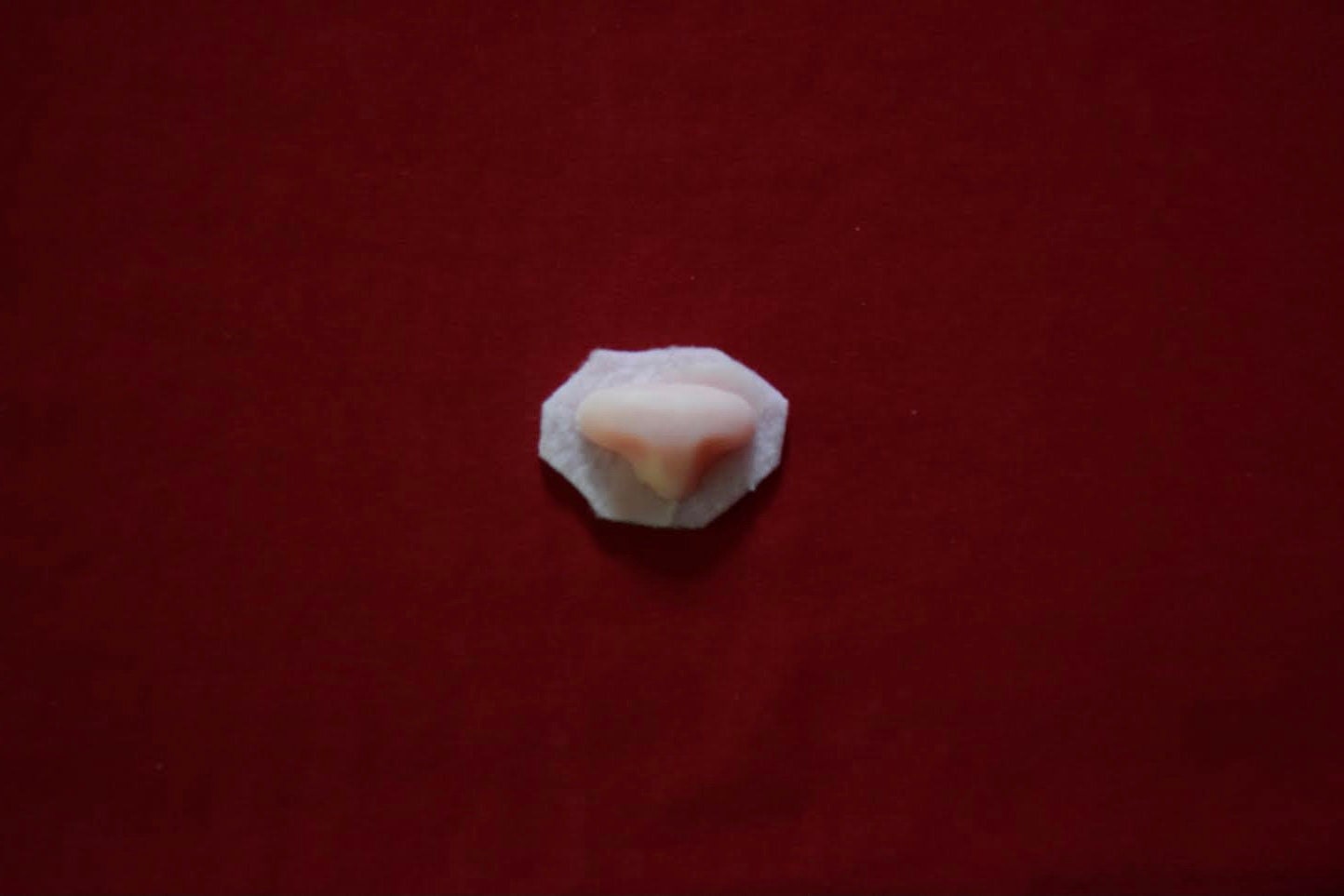 Silicone Kemono Fursuit Nose - Etsy